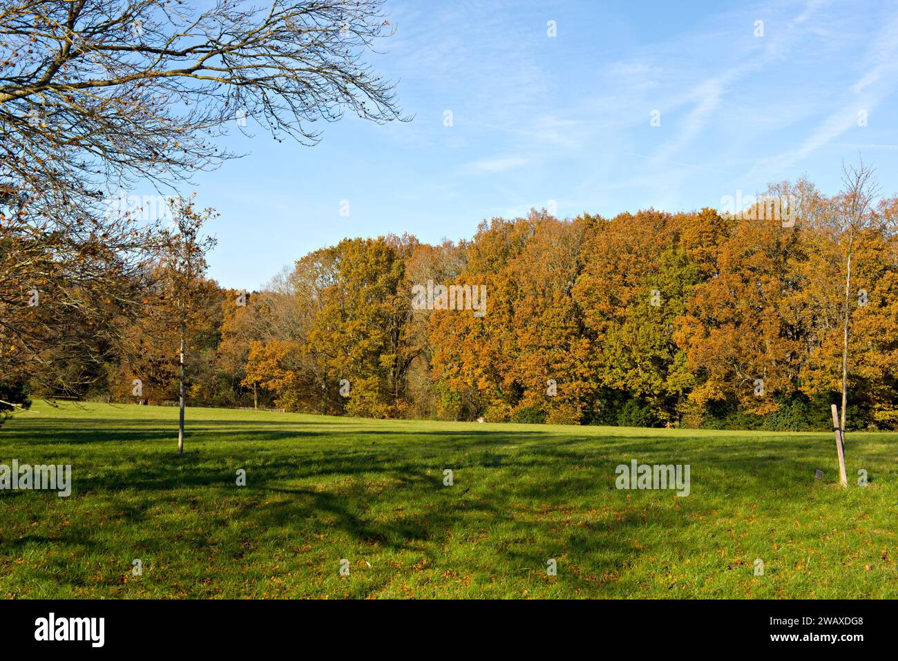 Autumnal colours in the Kentish countryside, England, Fall 2023 Stock ...