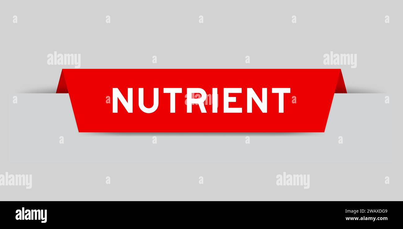 Red color inserted label with word nutrient on gray background Stock ...