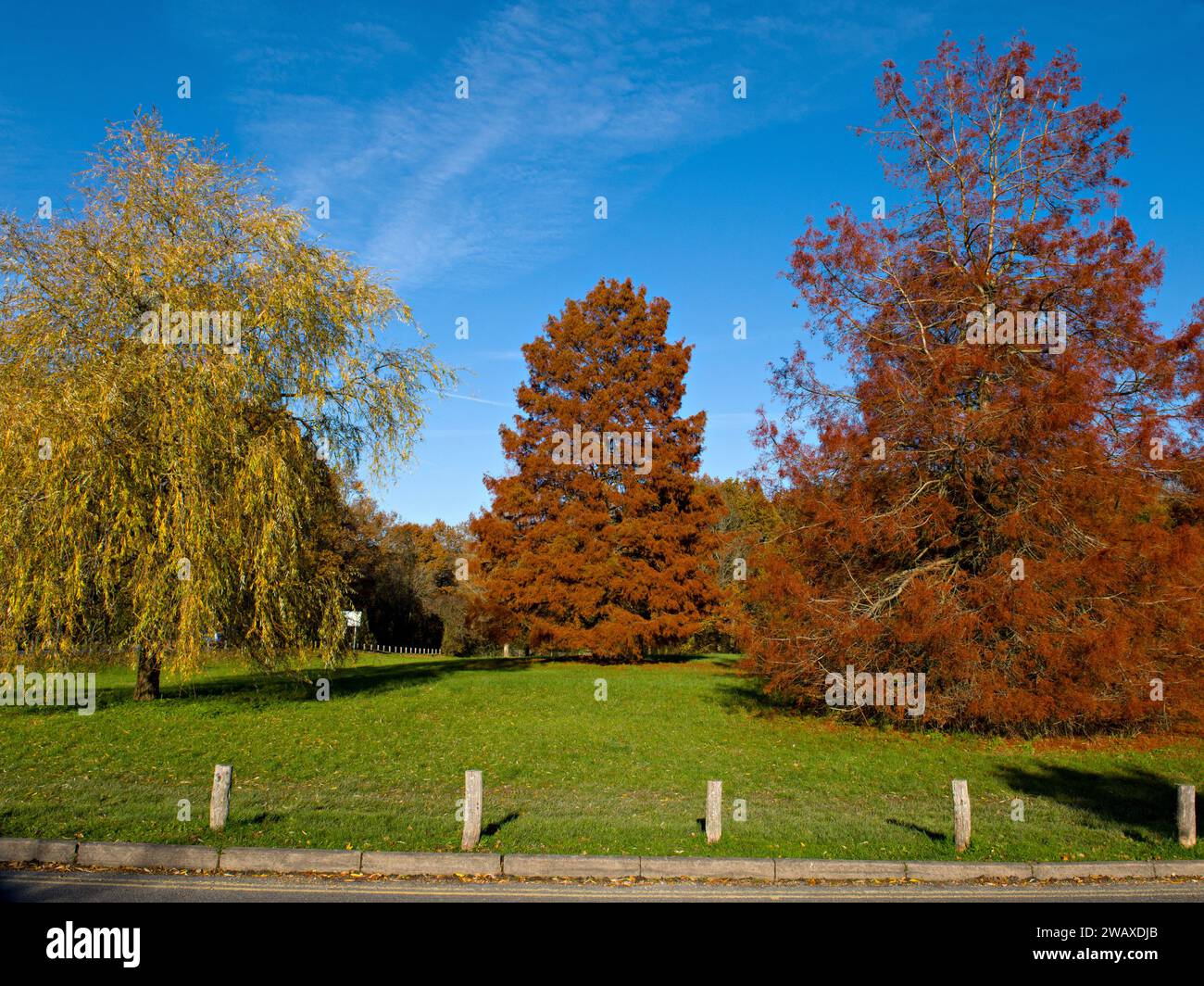 Autumnal colours in the Kentish countryside, England, Fall 2023 Stock ...