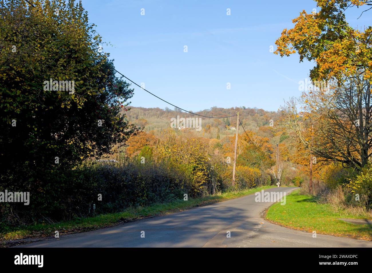 Country lane in brilliant autumn hi-res stock photography and images ...