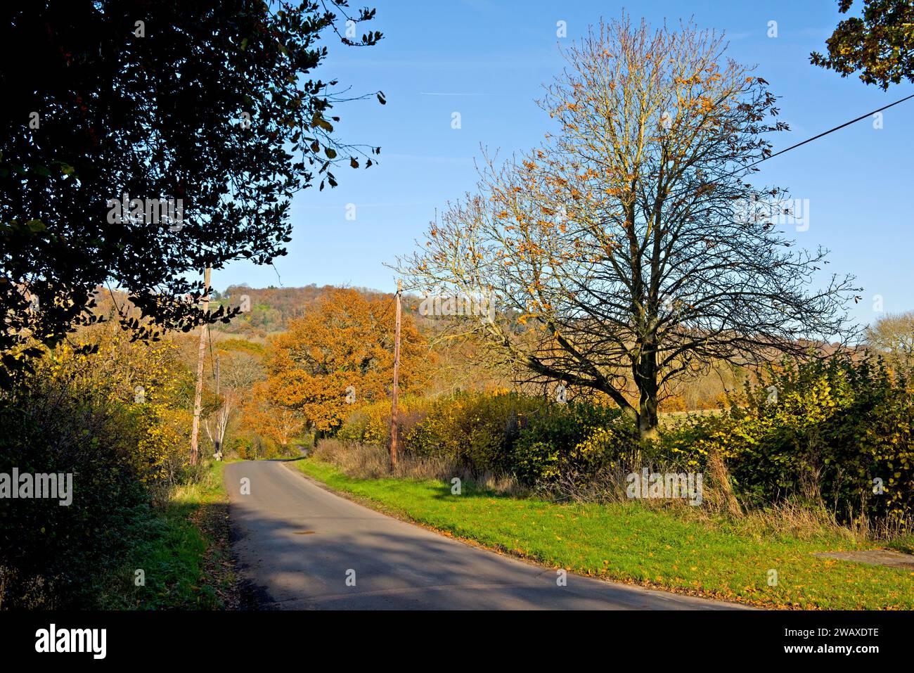 Autumnal colours in the Kentish countryside, England, Fall 2023 Stock ...