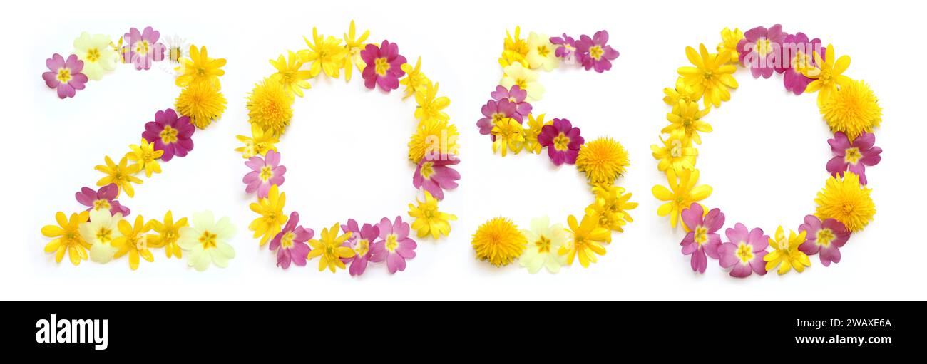 year date 2050 made of yellow, orange and pink flower. floral lettering ...