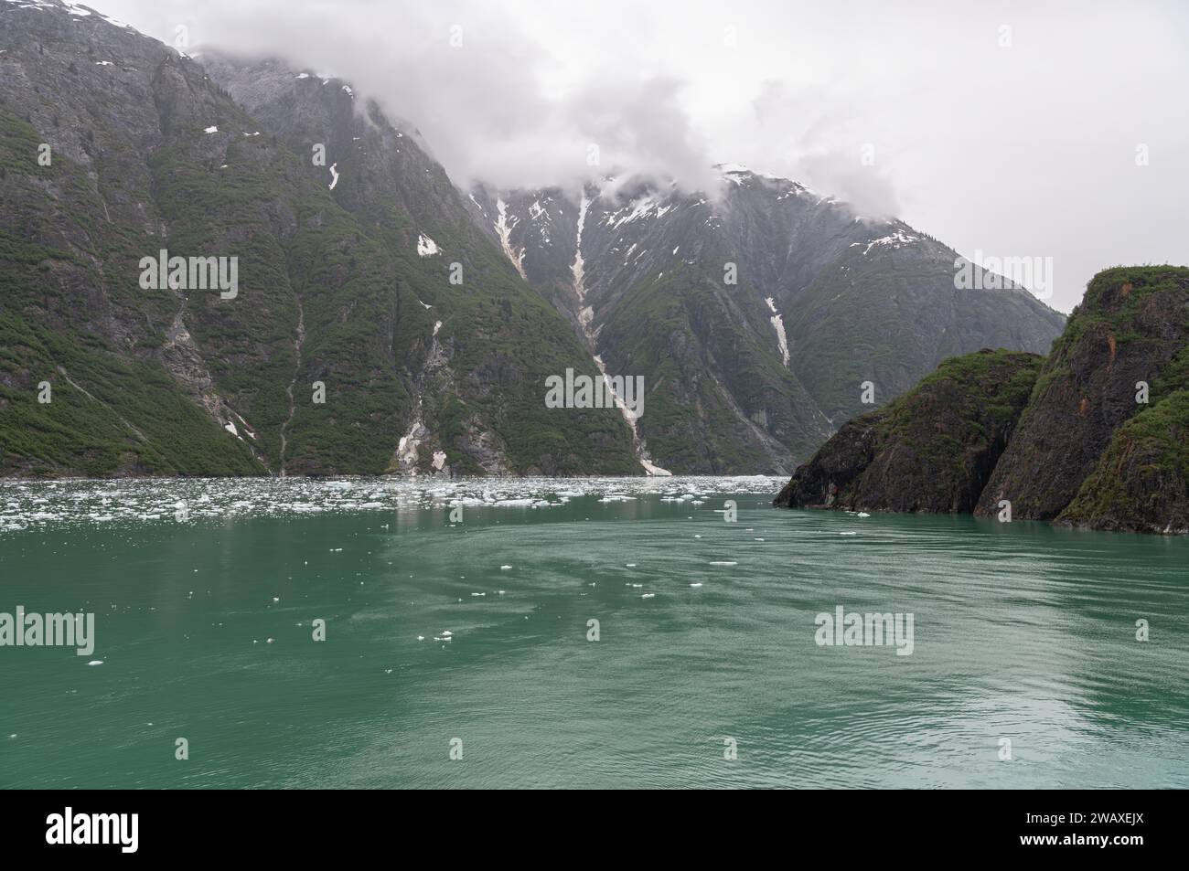 Ice floating in the Tracey Arm inlet, Alaska, USA Stock Photo - Alamy