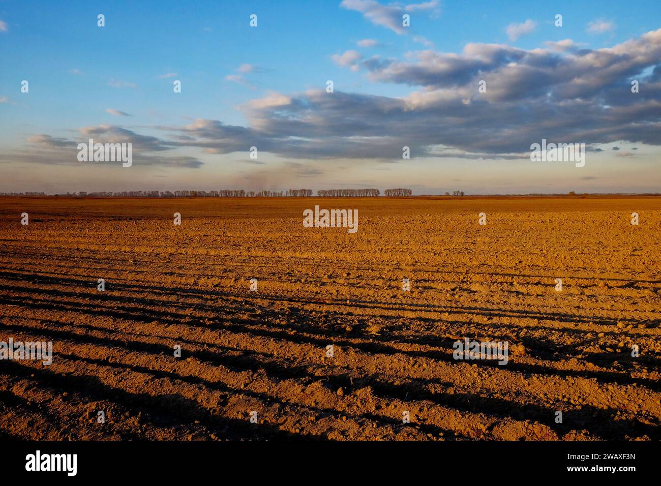 A vast field with ploughed soil, trees in the distance, and a clear sky ...