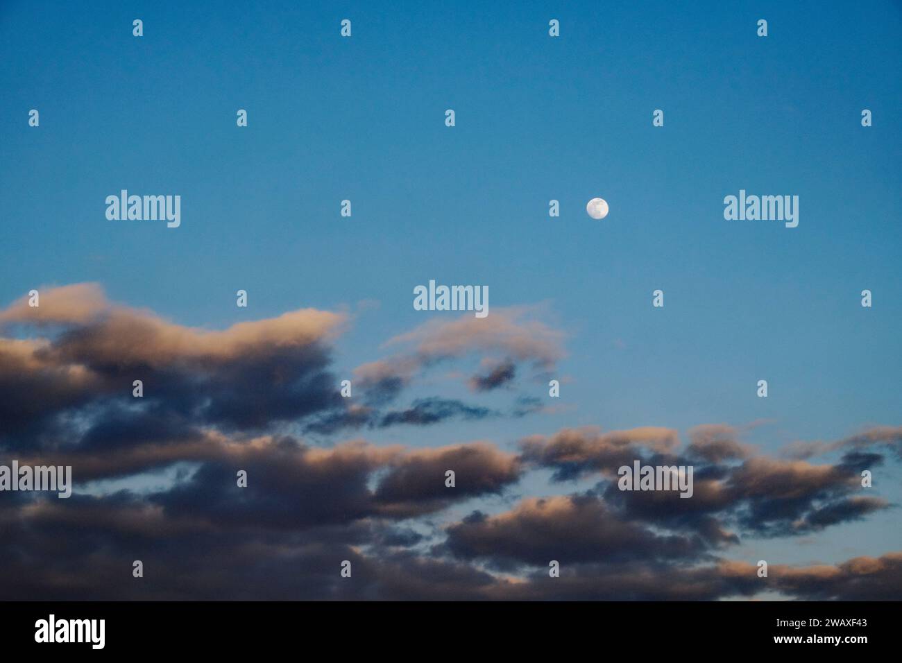 Full moon glowing amidst scattered hi-res stock photography and images ...