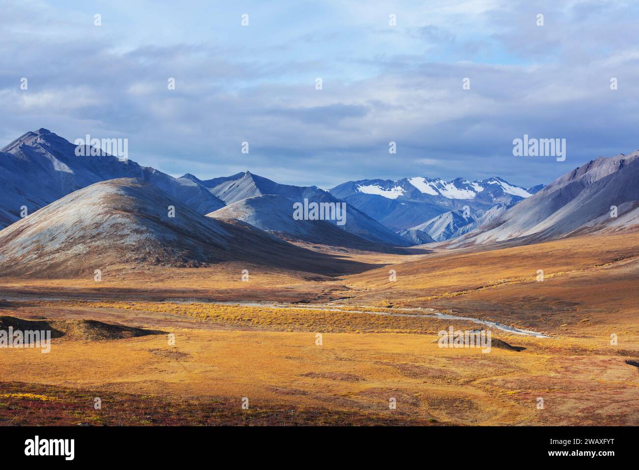 Tundra landscapes above Arctic circle Stock Photo - Alamy