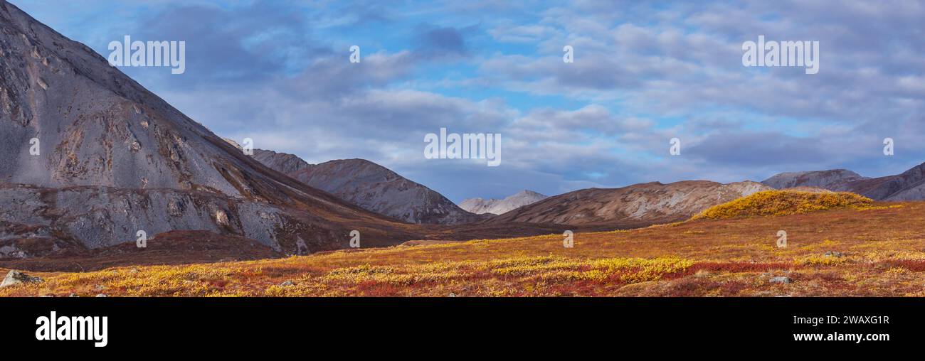 Tundra landscapes above Arctic circle Stock Photo - Alamy