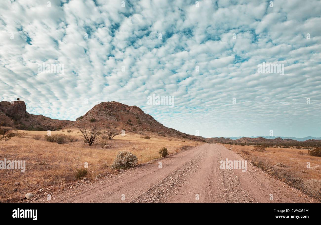 Beautiful natural landscapes in Baja California, Mexico Stock Photo - Alamy