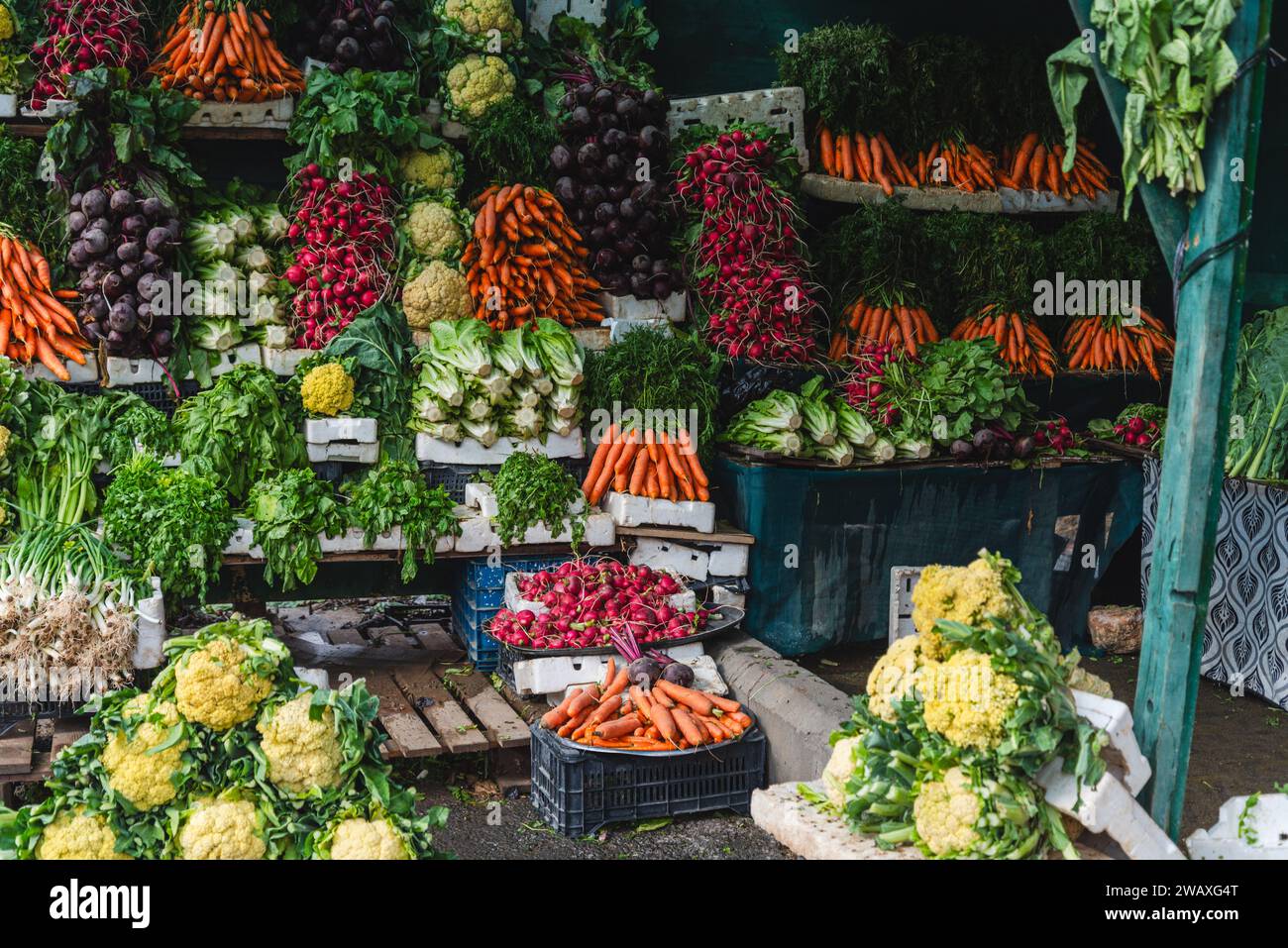 Woman vegetable stand illustration hi-res stock photography and images ...
