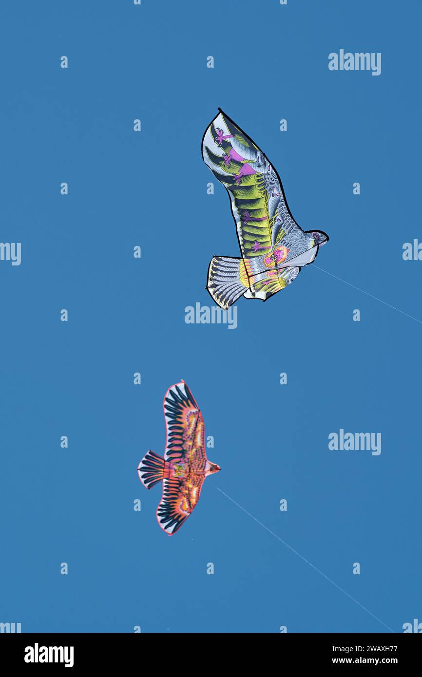 An outdoor kite flying festival. Kites are launched into the blue sky ...