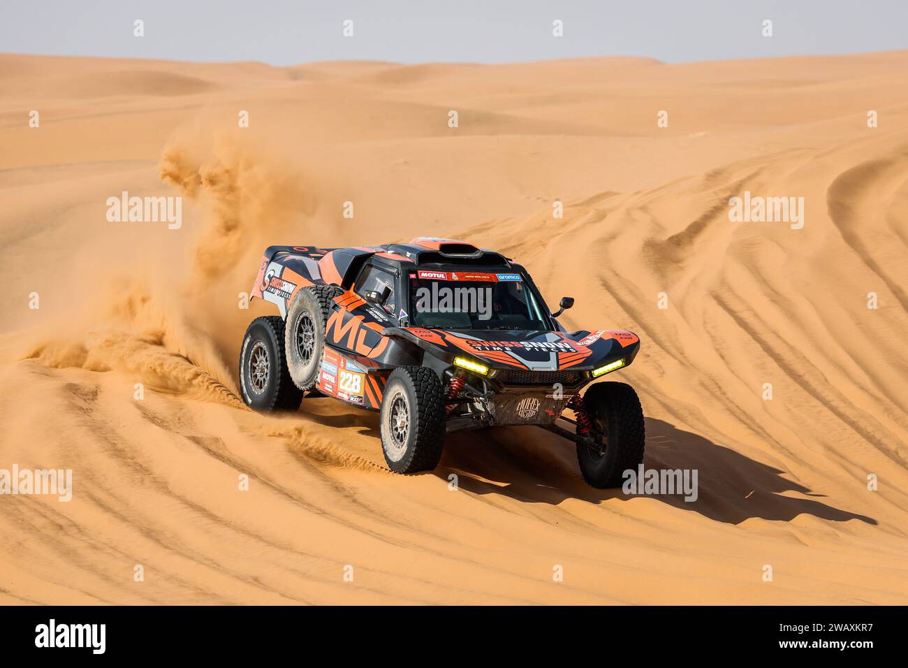 228 PELICHET Jerome (fra), LARROQUE Pascal (fra), RaidLynx, MD Optimus ...