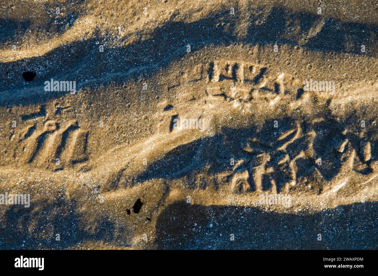 Trainer footprint in sand hi-res stock photography and images - Alamy