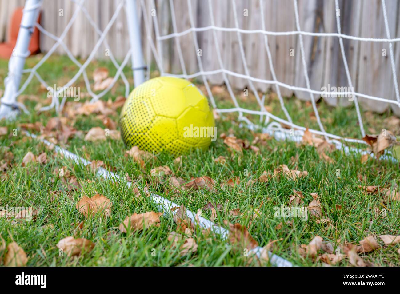 Selective focus on grass area in front of soccer ball and practice net ...
