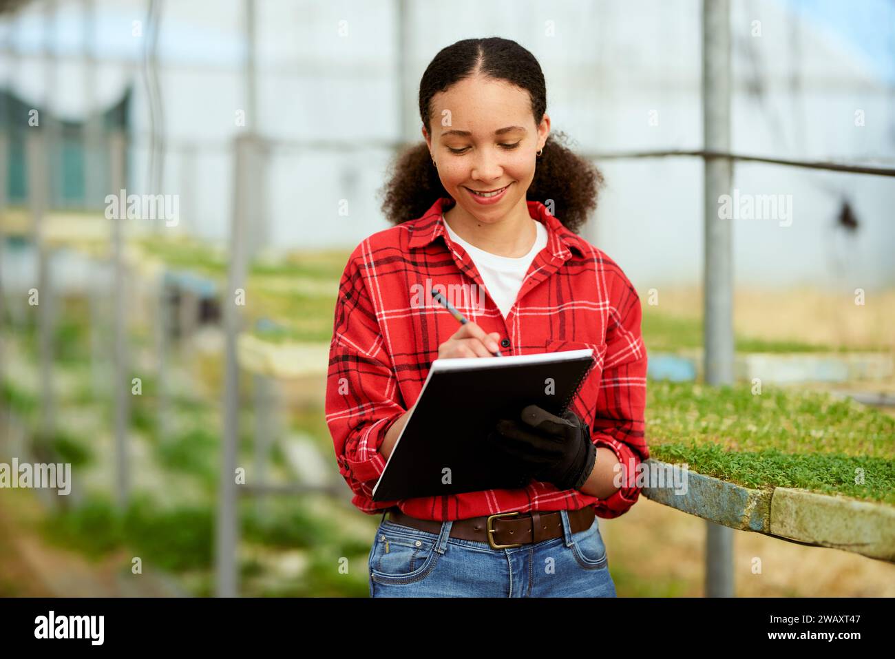 Multi-ethnic female farmer in greenhouse, writing notes, crops in ...