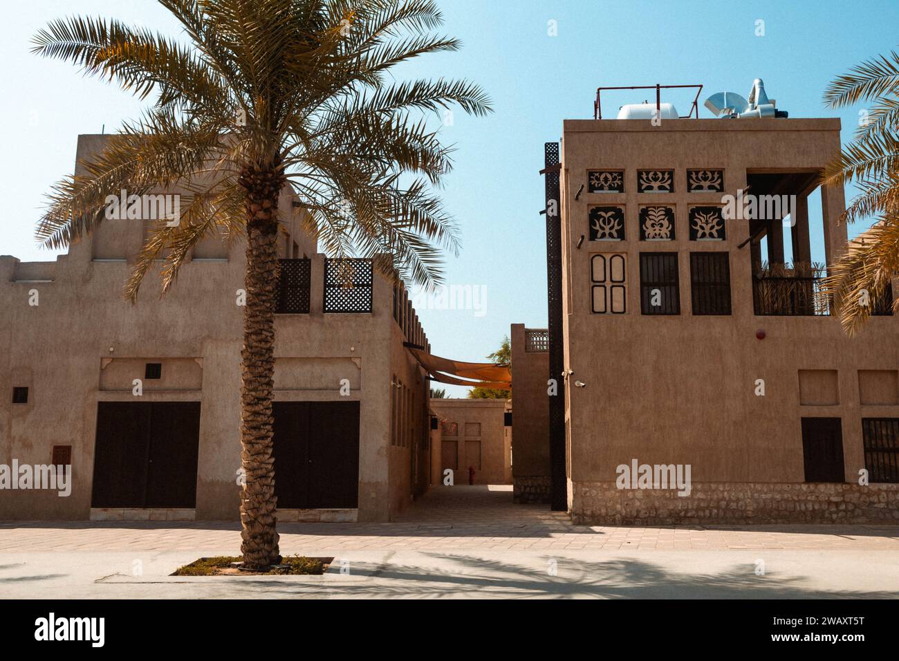 Regular street house architecture in Dubai with palm tree in front ...
