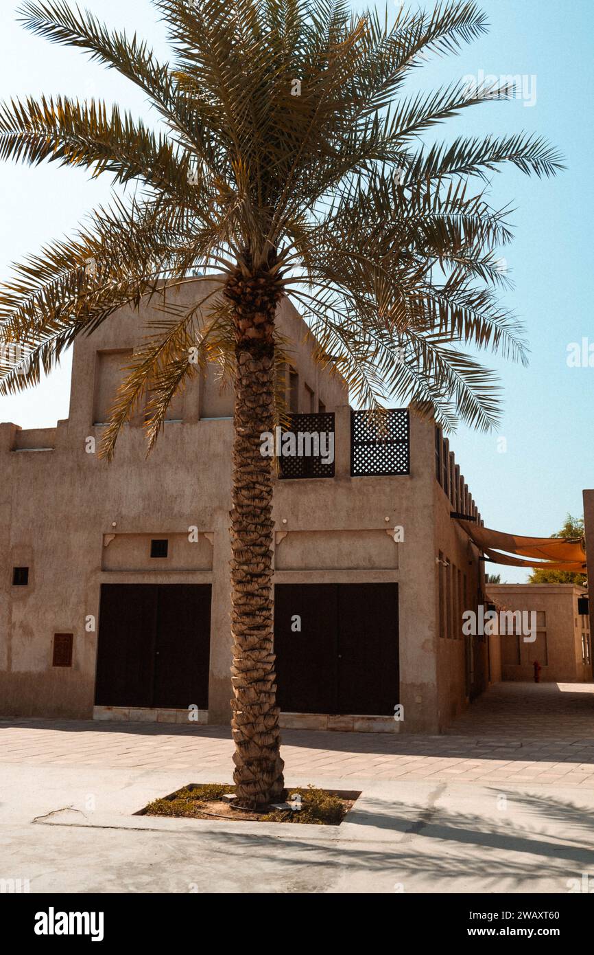 Regular street house architecture in old Dubai with palm tree in front ...