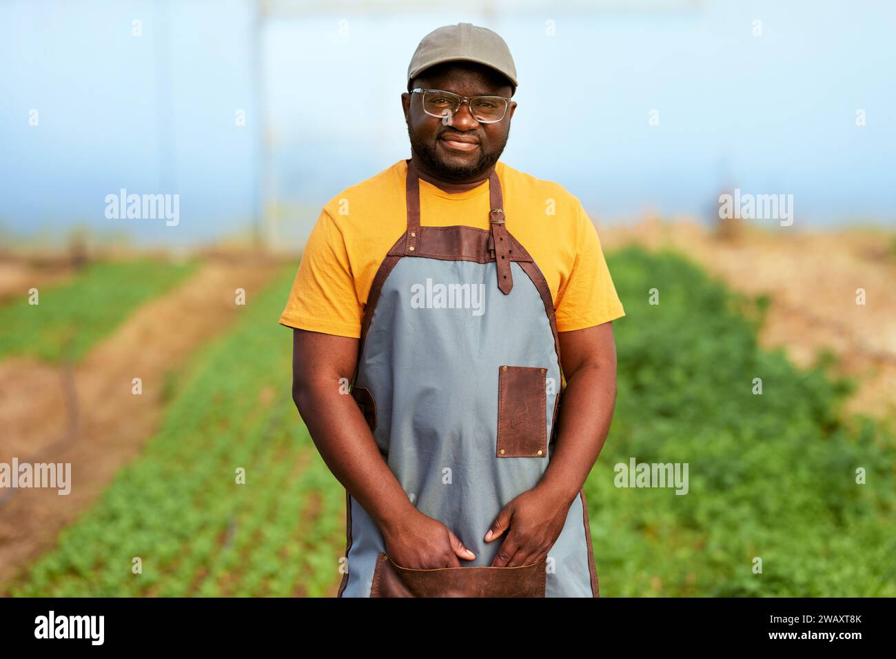 Profile photo of Black farmer, hands in pockets, crops in background ...