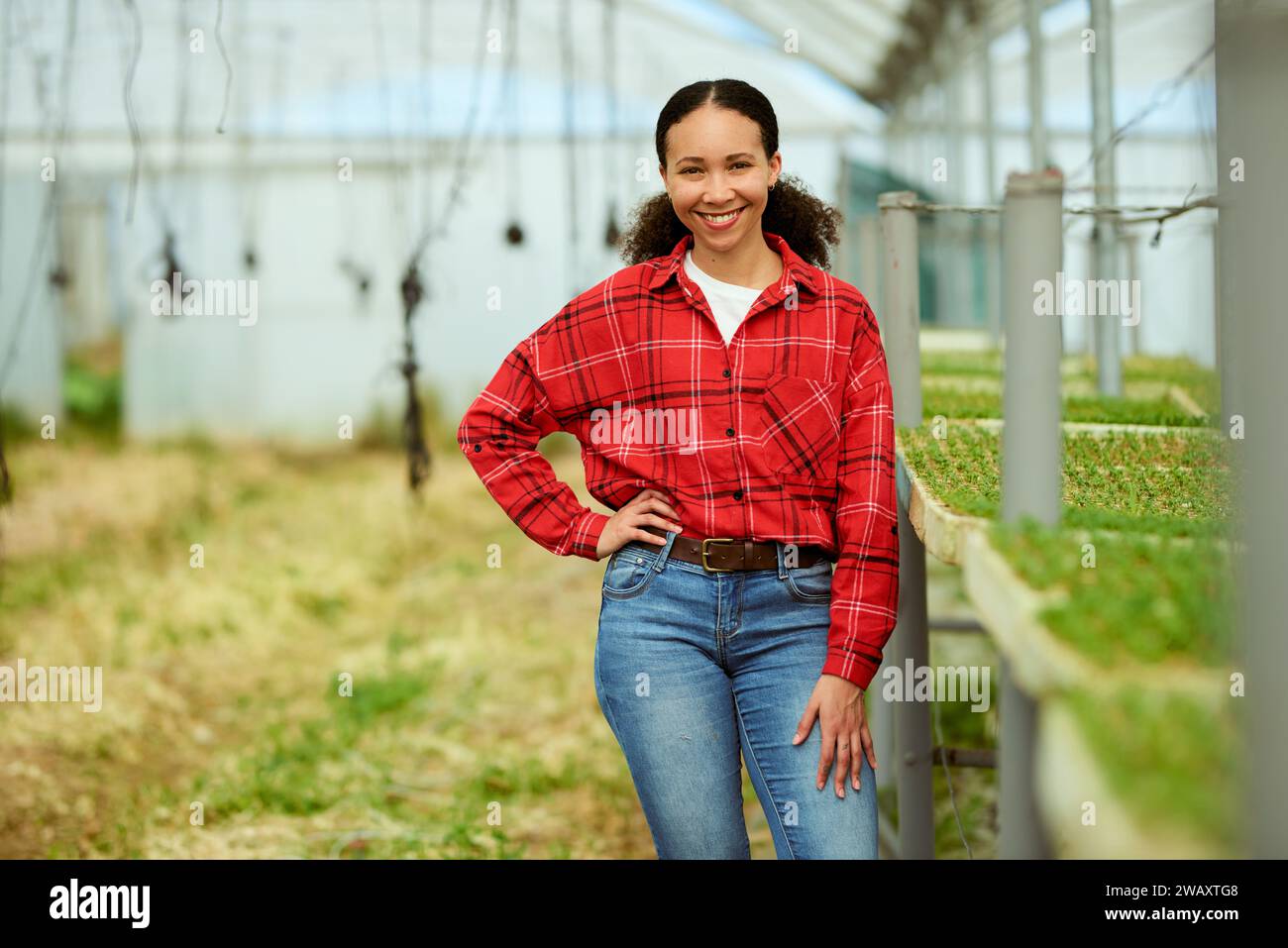 Multi-ethnic female farmer standing in greenhouse, crops in background ...
