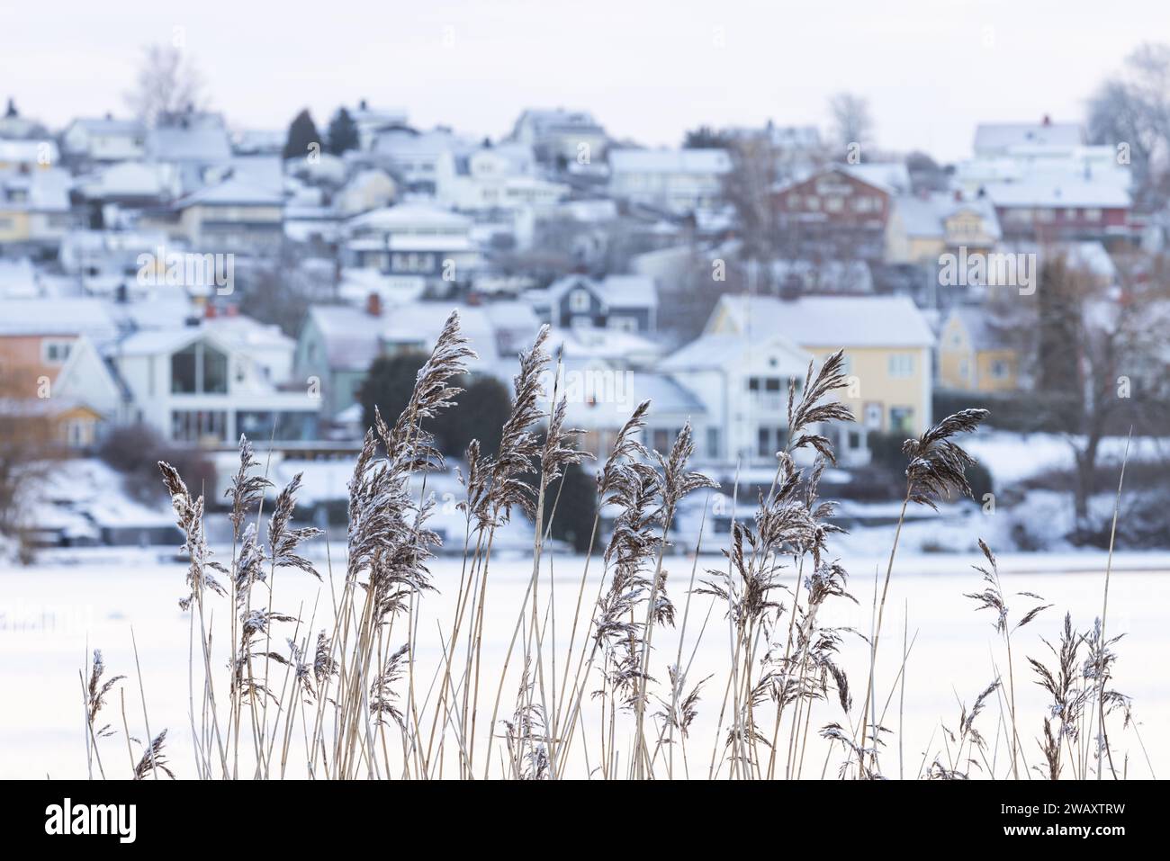 Seasonal weather, cold Swedish weather continues, during Sunday ...