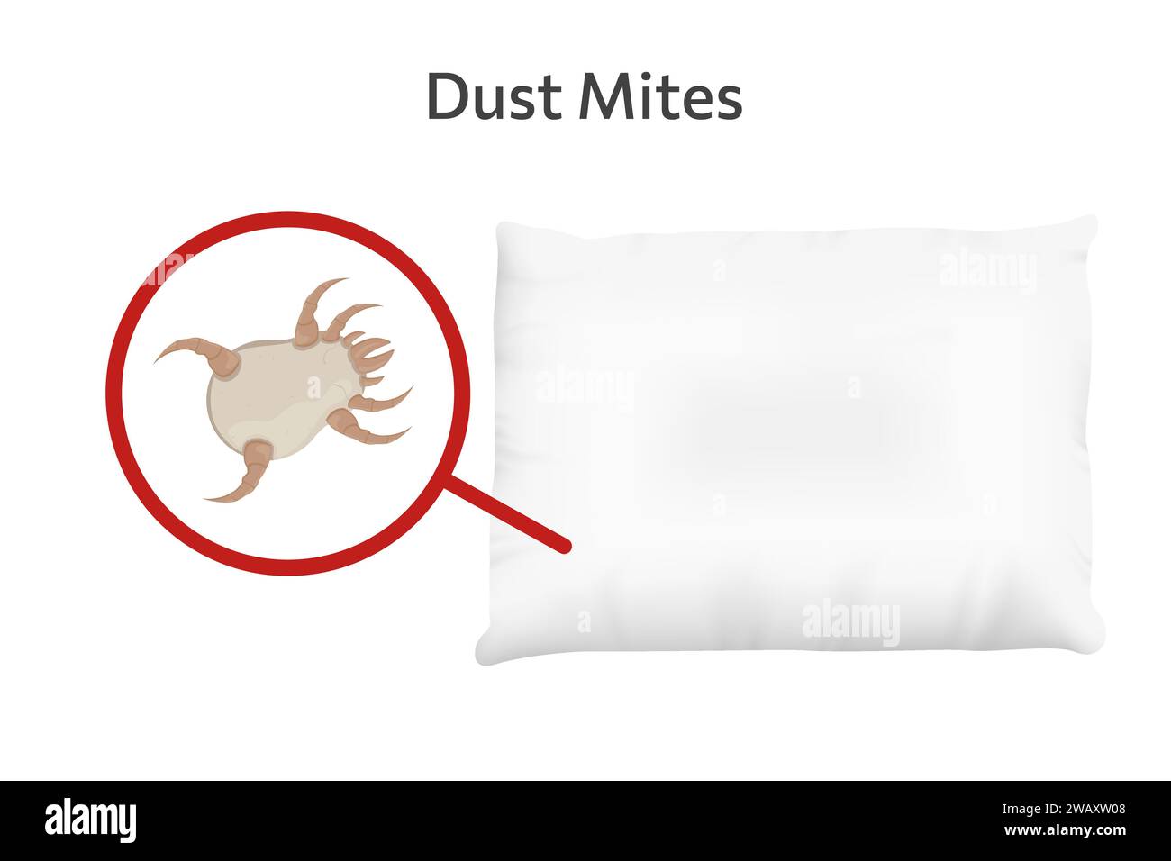 White dust mite on pillow vector illustration. Microscopic dangerous ...