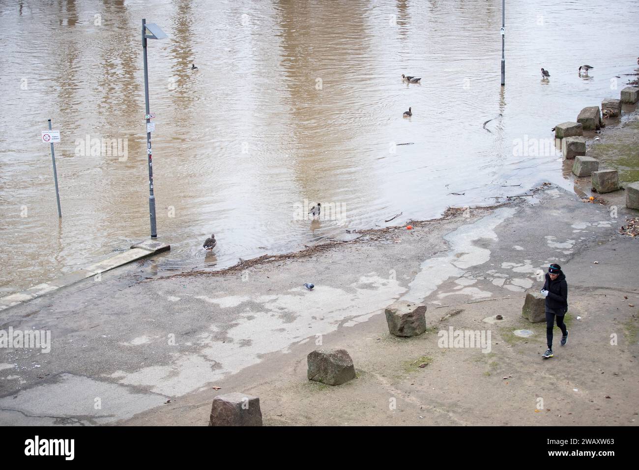 Frankfurt, Germany. 7th Jan, 2024. A woman jogs along the submerged ...