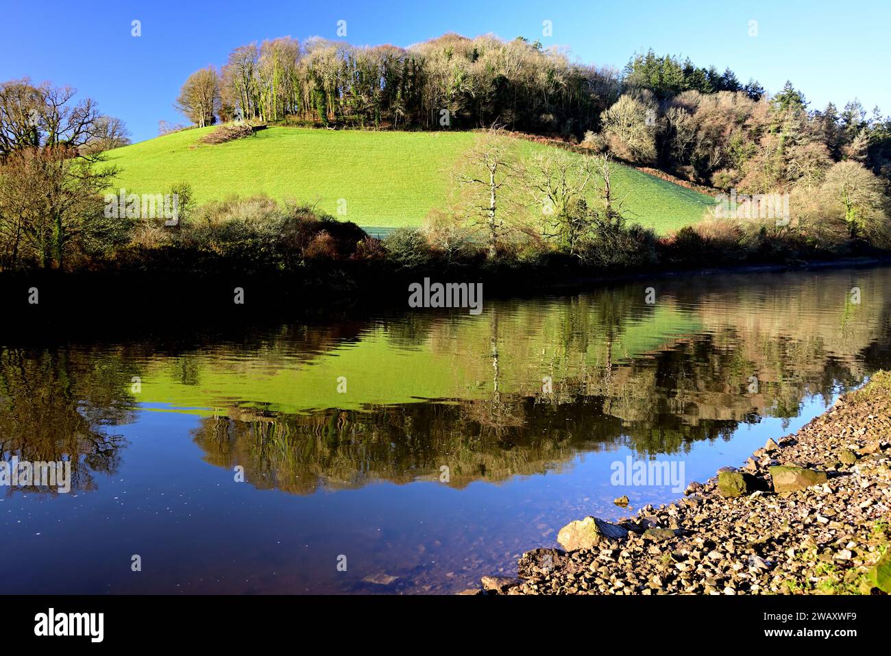 Reflections in the river Dart at Totnes, South Devon Stock Photo - Alamy