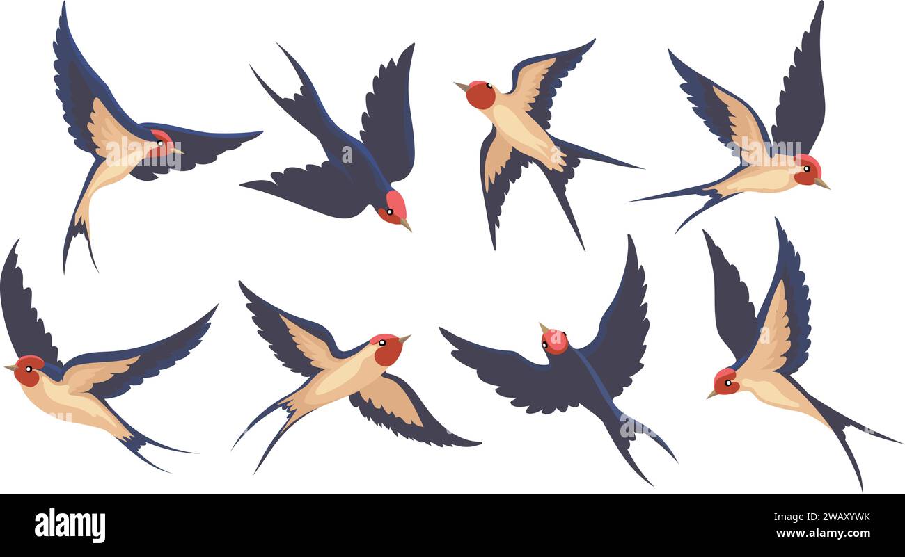 Cartoon swallow in flight set Stock Vector Image & Art - Alamy