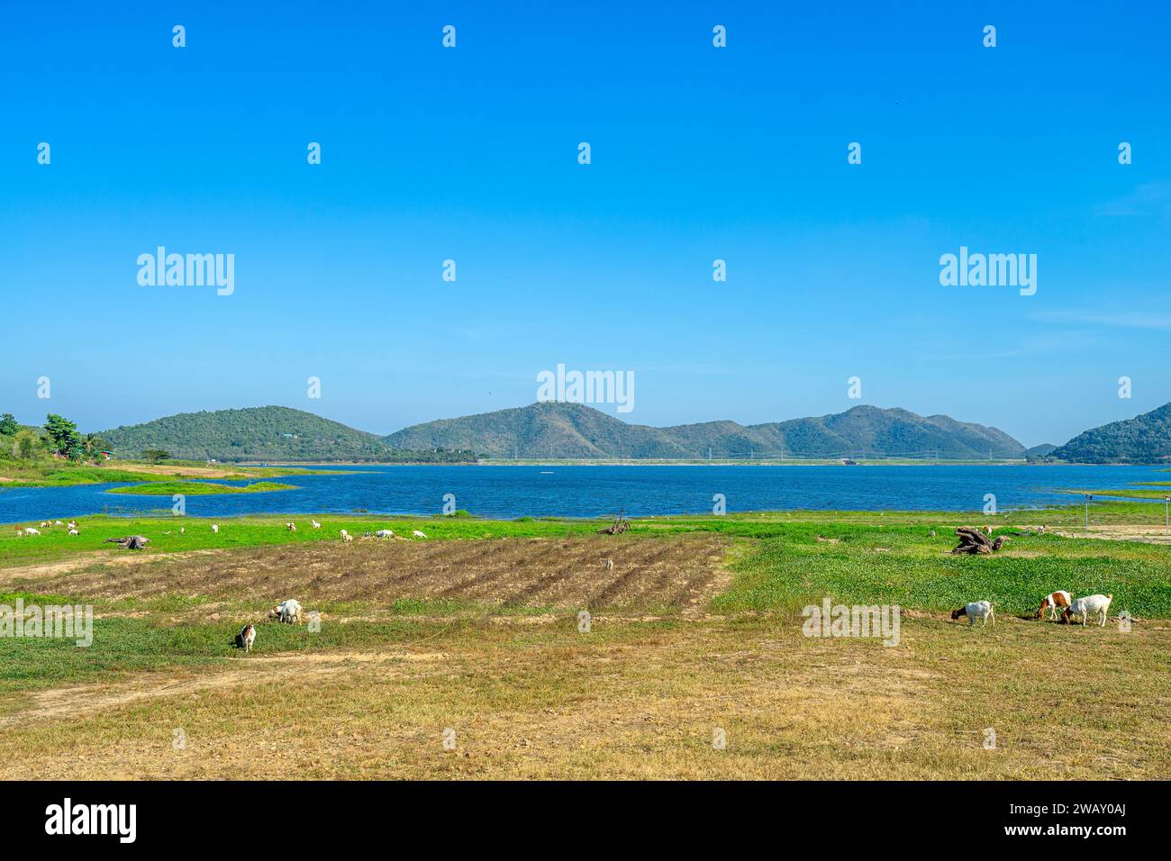 Pranburi dam hi-res stock photography and images - Alamy