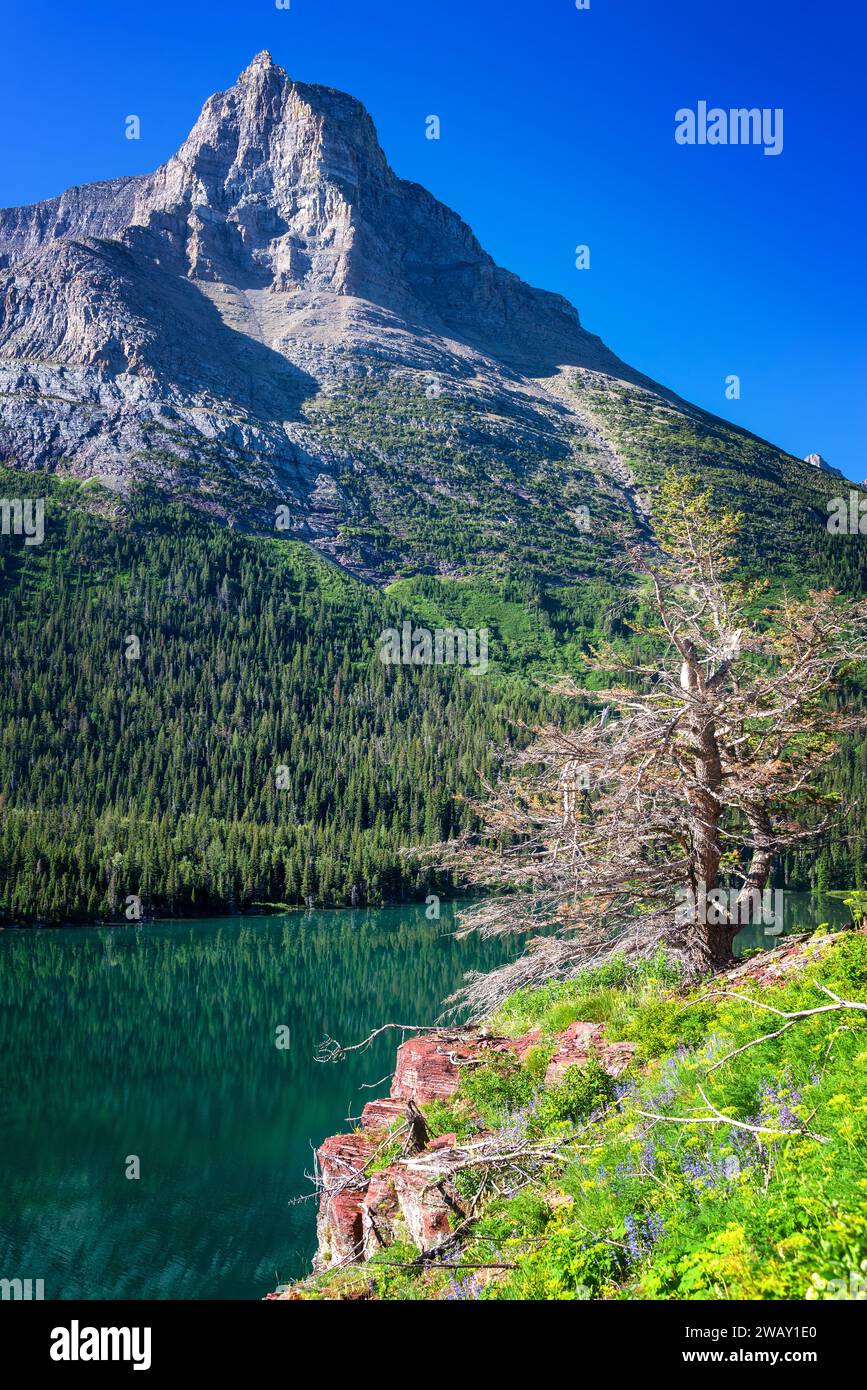 Stunning view of a mountain towering of St. Mary Lake in Glacier ...