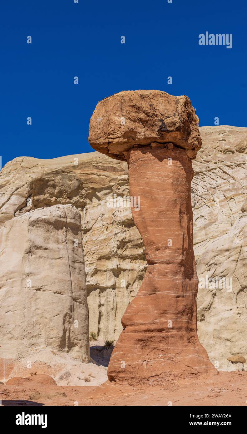 Toadstools in the Grand Staircase-Escalante National Monument Utah ...