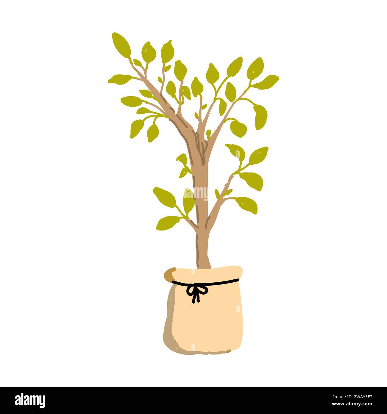 tree for planting in spring or summer, hand drawn style. Vector ...