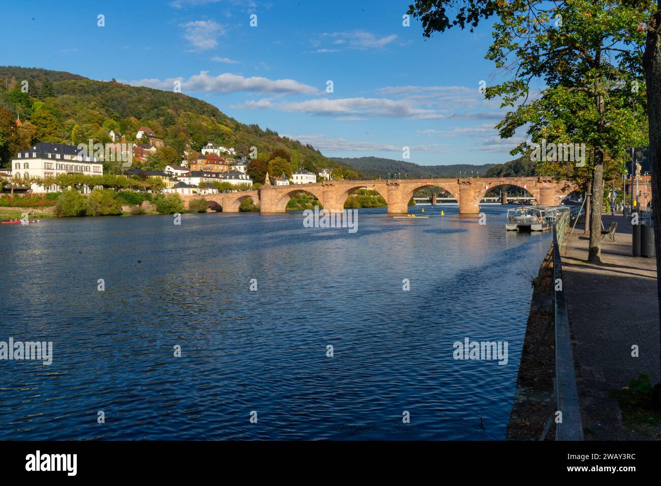 walking along the long neckar river Stock Photo - Alamy