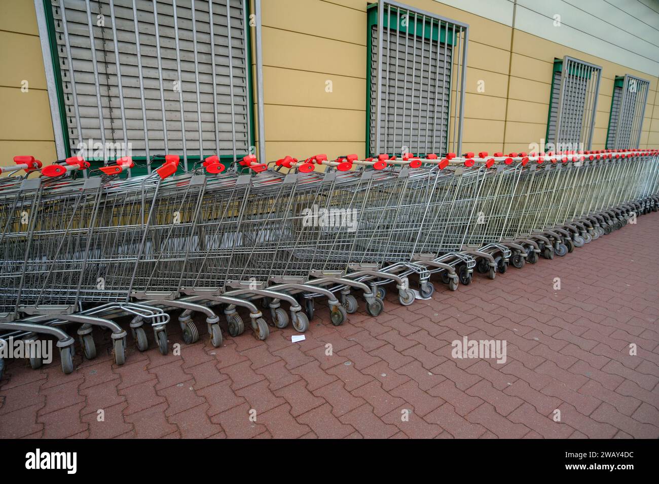 shopping carts together in a line up. trolleys from the supermarket ...