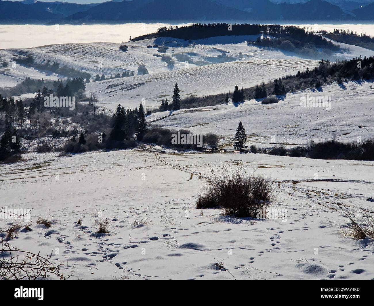 Winter in the Slovak Tatra Mountains full of snow Stock Photo - Alamy