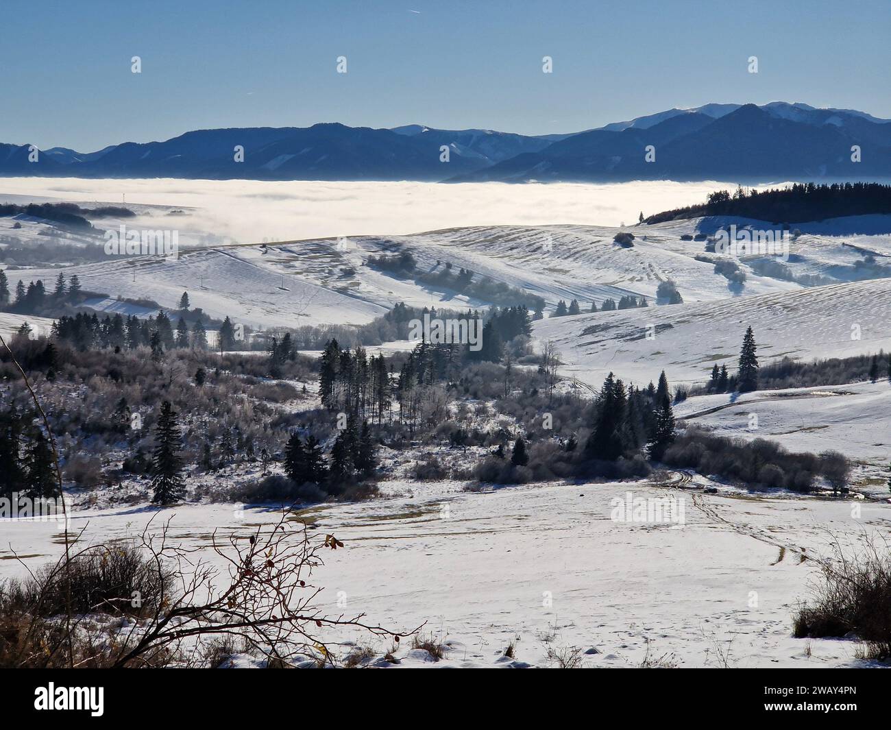 Winter in the Slovak Tatra Mountains full of snow Stock Photo - Alamy