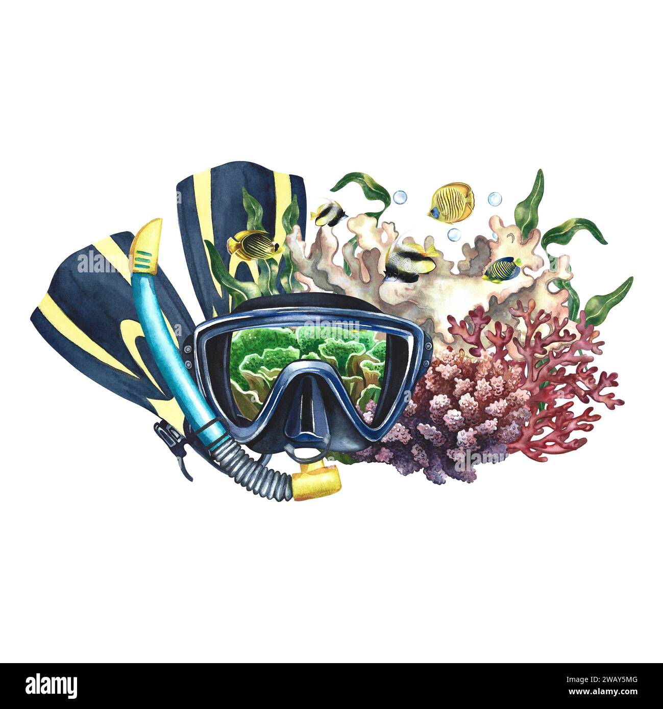 Diving equipment. Diver mask with fins, corals and sea fish. Hand ...