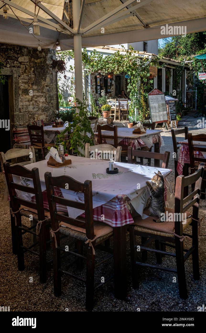 Tavern in Peritheia, Thinali, Corfu, Greece. October 2022 Stock Photo ...