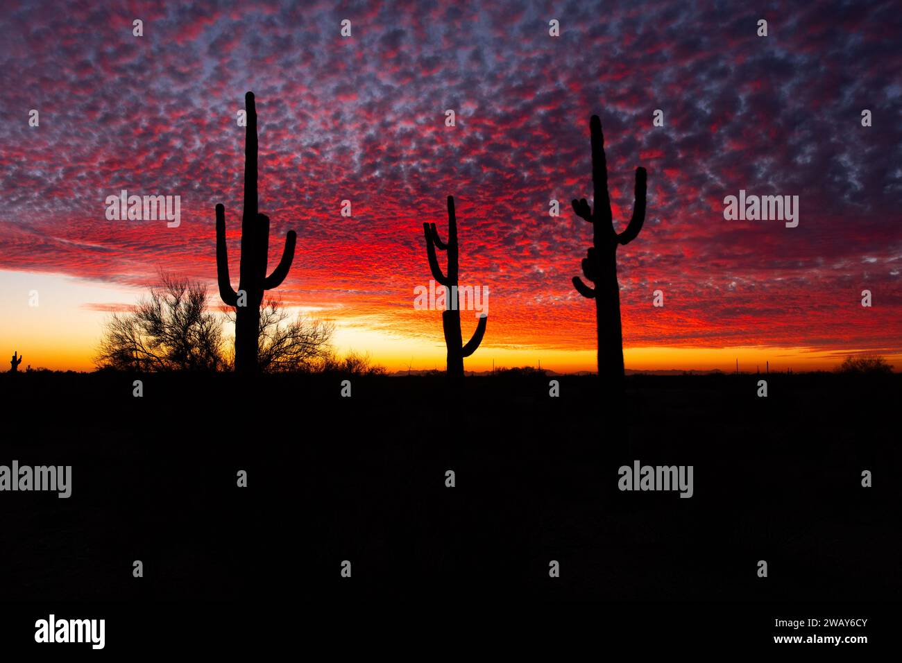 Fiery arizona desert sunset hi-res stock photography and images - Alamy