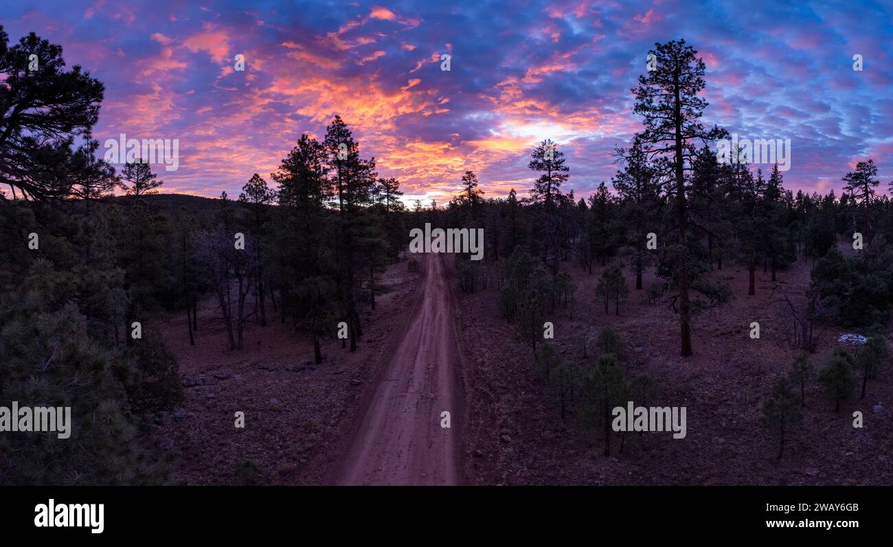 A picturesque dirt road winding through a lush green field with tall ...
