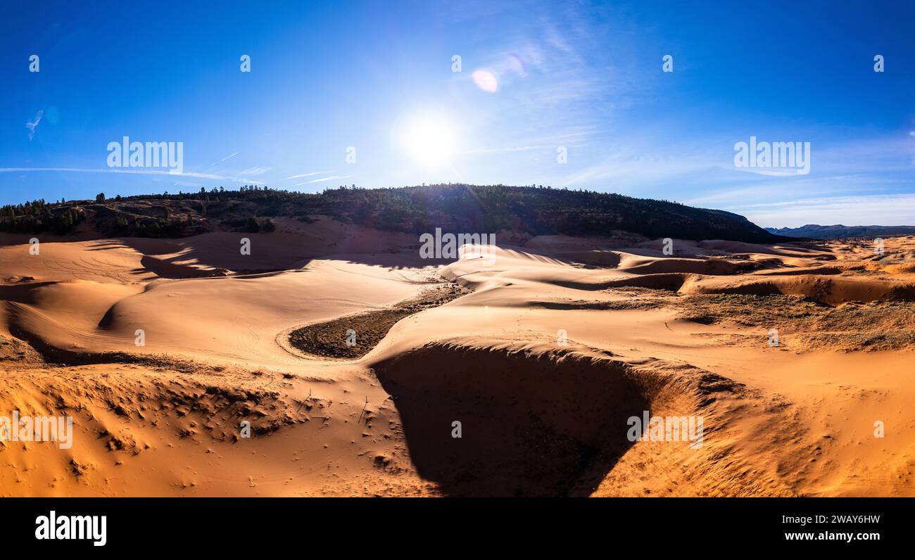 Sandy desert environment hi-res stock photography and images - Alamy