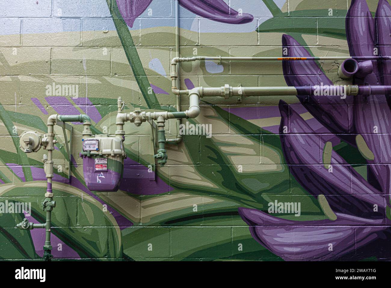 Disguised gas meter and piping in Victoria British Columbia Canada ...