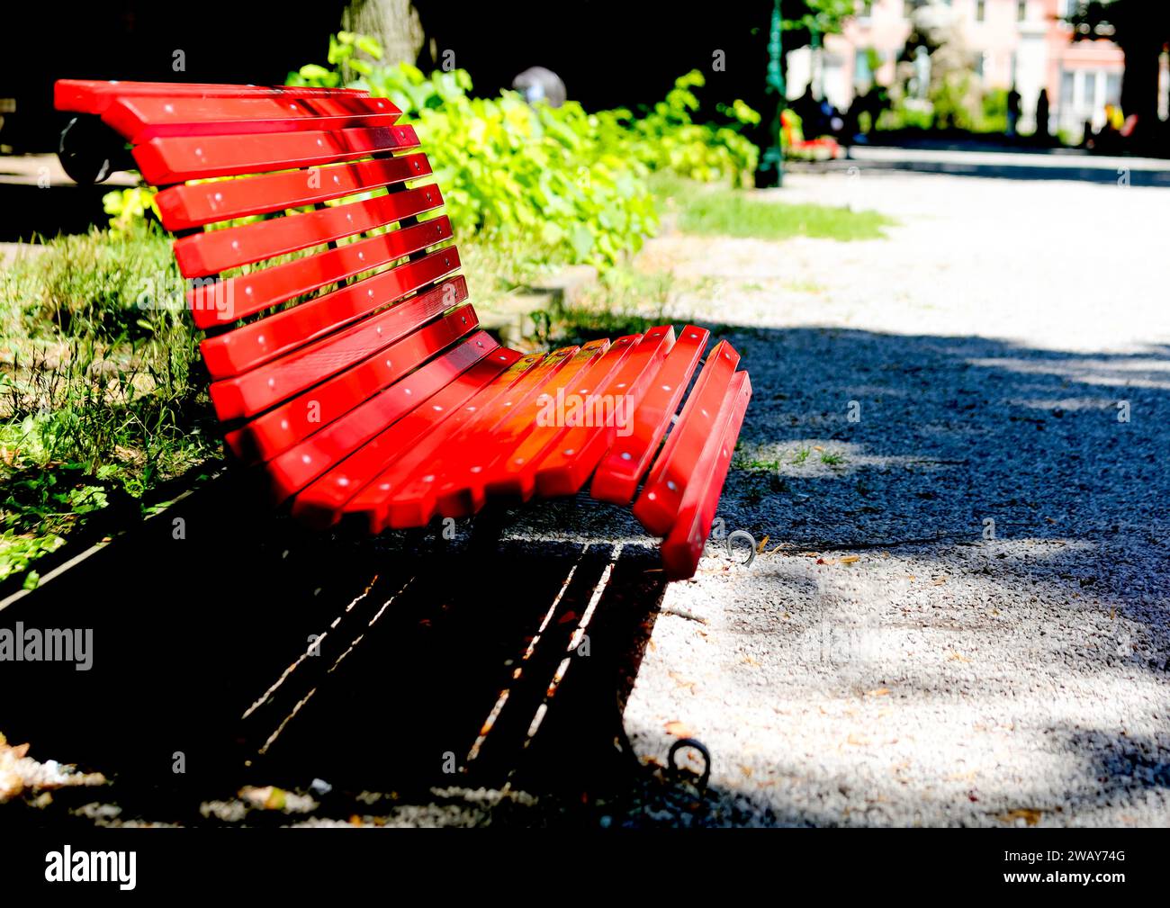 red wooden bench in the park with intense intentionally rich and lively ...