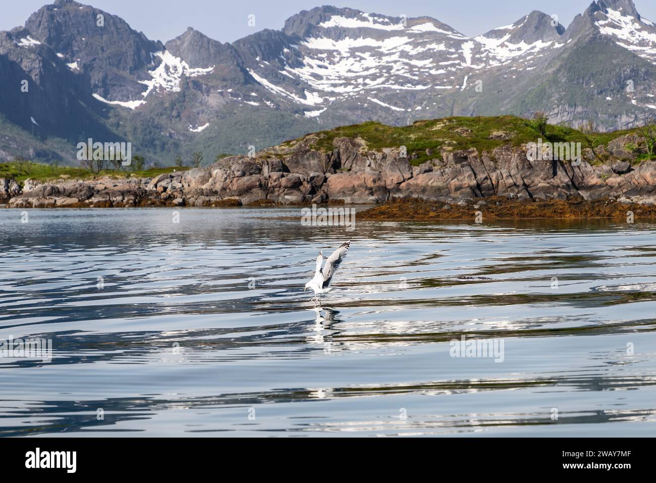 Untouched ecosystem hi-res stock photography and images - Alamy