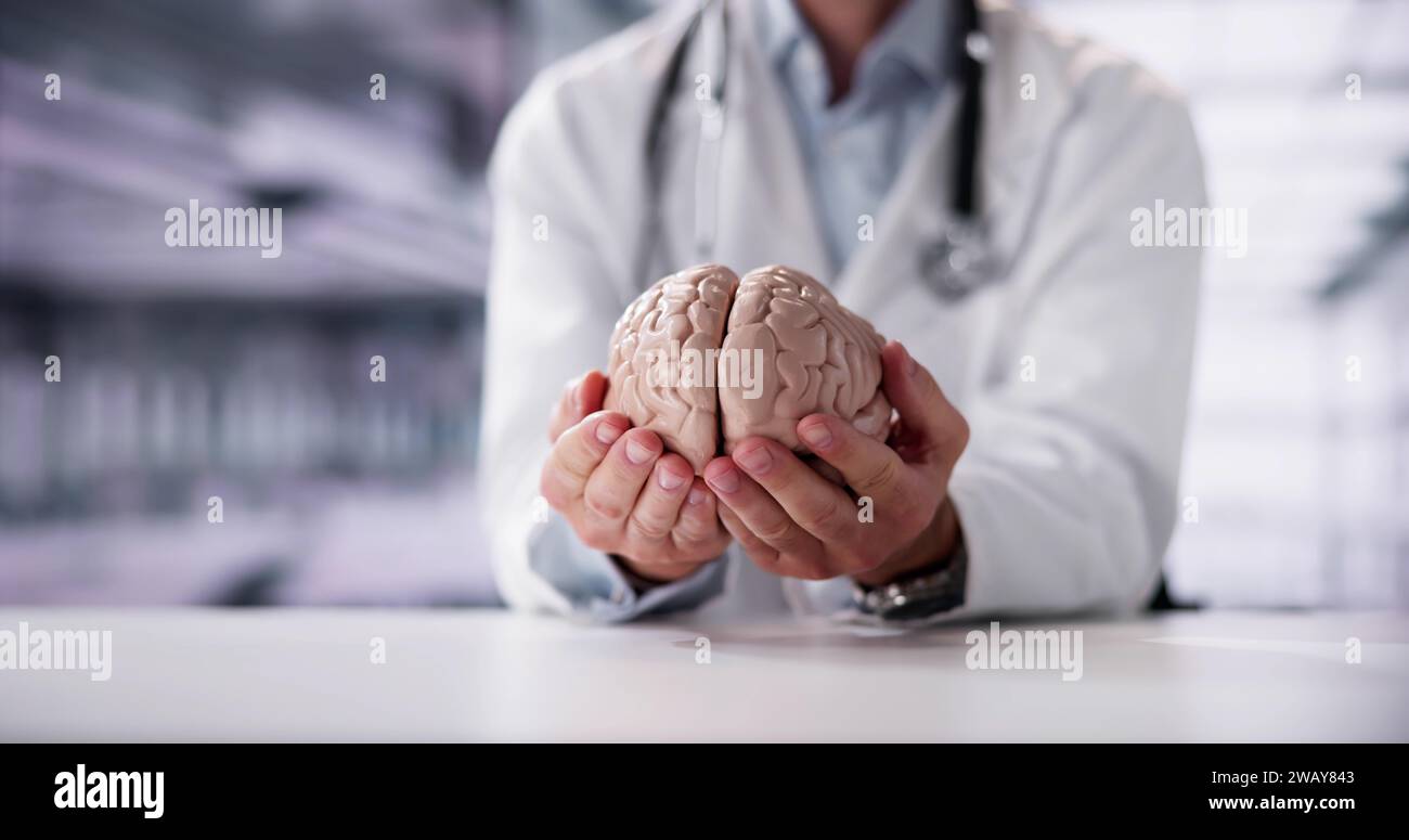 Neurologist doctor brain model hi-res stock photography and images - Alamy
