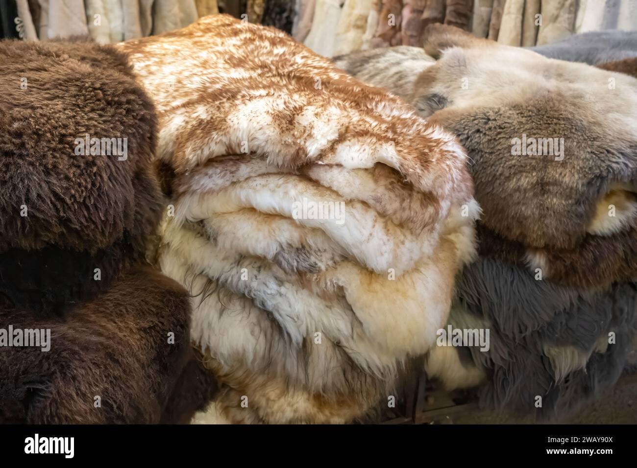 Tanned sheepskin for sale, outdoor shot. Leather as a decorative ...