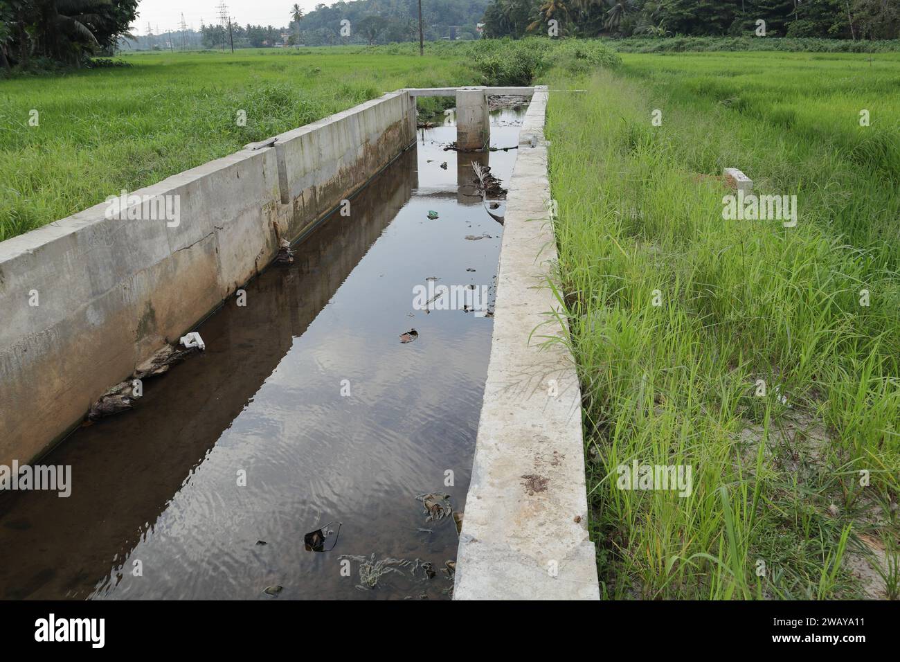 A newly constructed irrigation canal middle of a rice paddy field. This ...