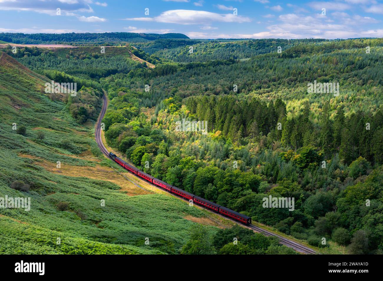 Vintage steam railway surrounded by thick woodland in leaf under ...