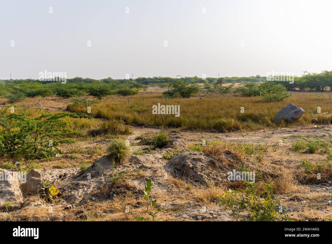 Barren scenery hi-res stock photography and images - Alamy