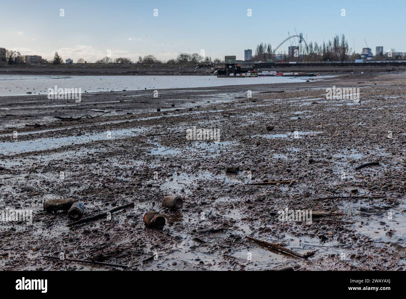 Brent Reservoir, The Welsh Harp, a Site of Special Scientific Interest ...