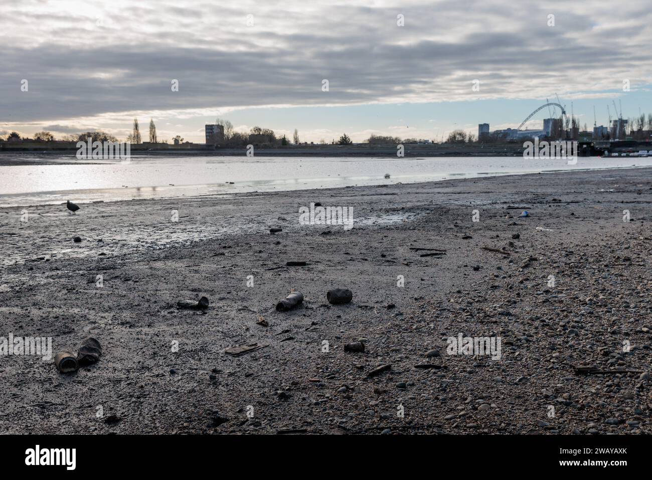 Brent Reservoir, The Welsh Harp, a Site of Special Scientific Interest ...